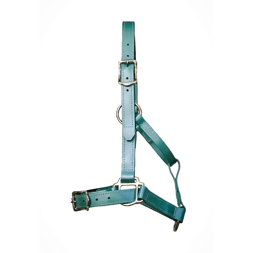 Custom Single Colour Halter – SS Saddlery