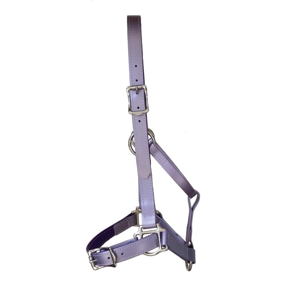 Custom Single Colour Halter – SS Saddlery