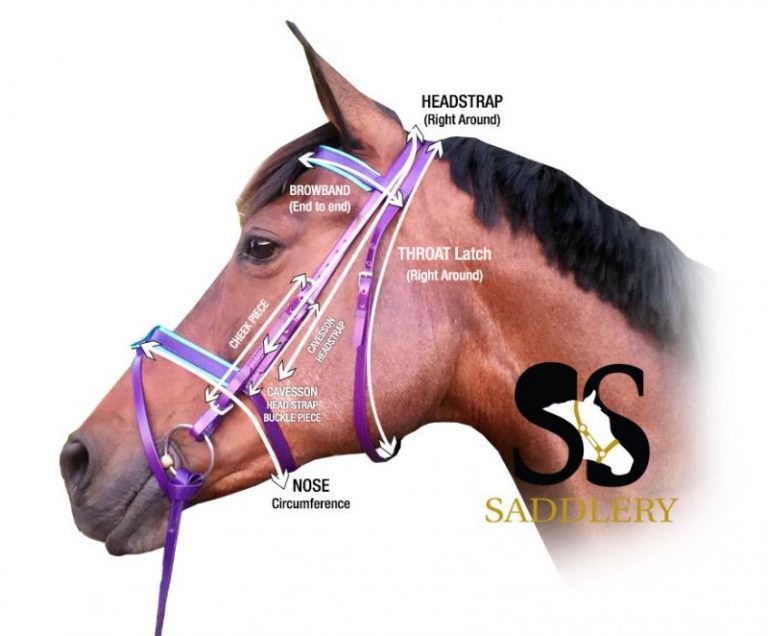 Size Charts – SS Saddlery